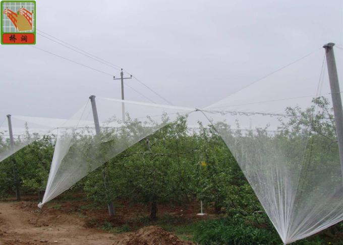 10mm * 10mm PE 50g / Sqm Jaring Pertanian